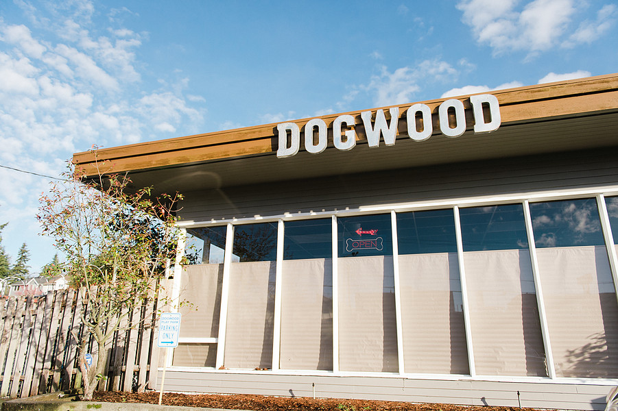 Drink With Your Dog at Dogwood Play Park - Seat...
