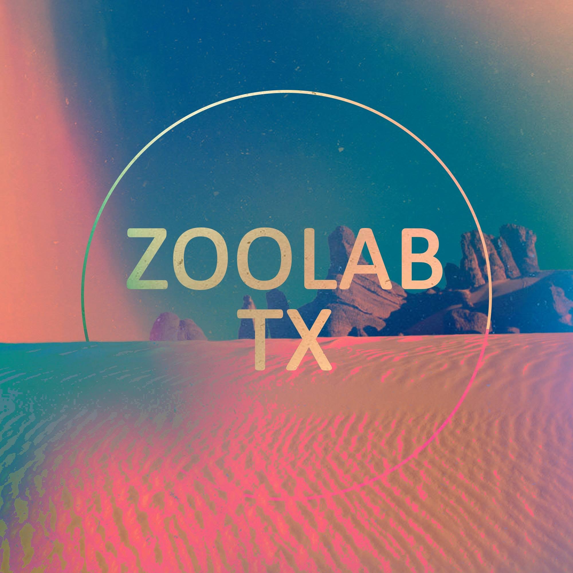 First Listen: Zoolab - TX