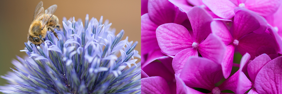 Guide to Spring in Seattle