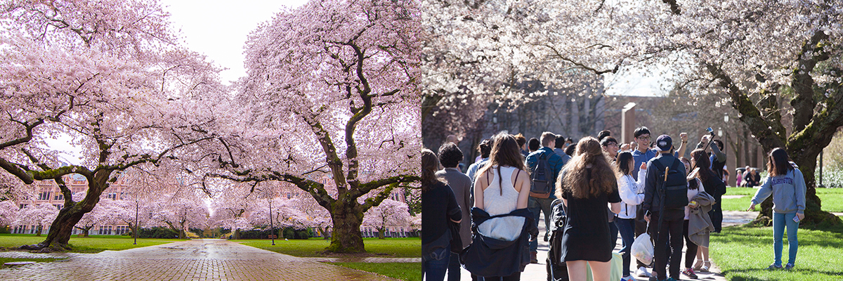 Guide to Spring in Seattle