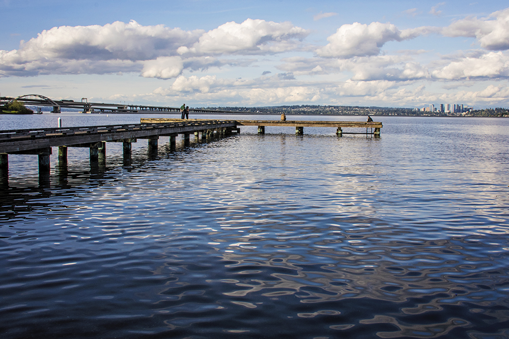 The Top Beaches in Seattle and Beyond