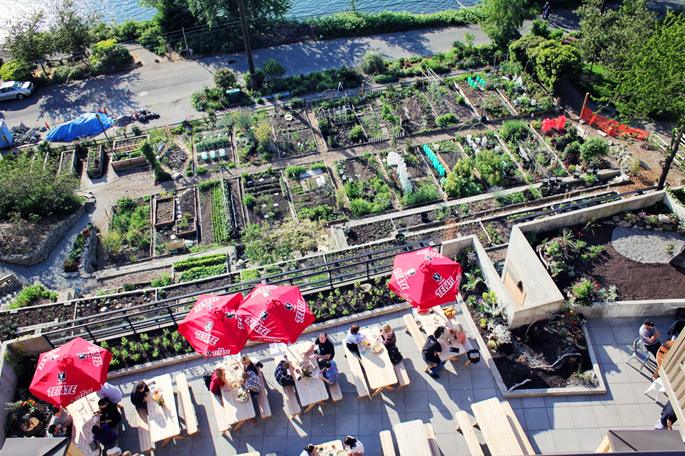 Seattle's Best Outdoor Bars