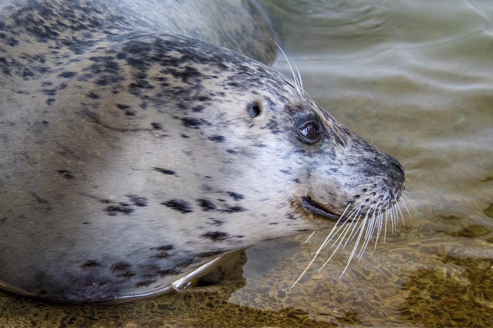 Your Guide To Fall In Seattle