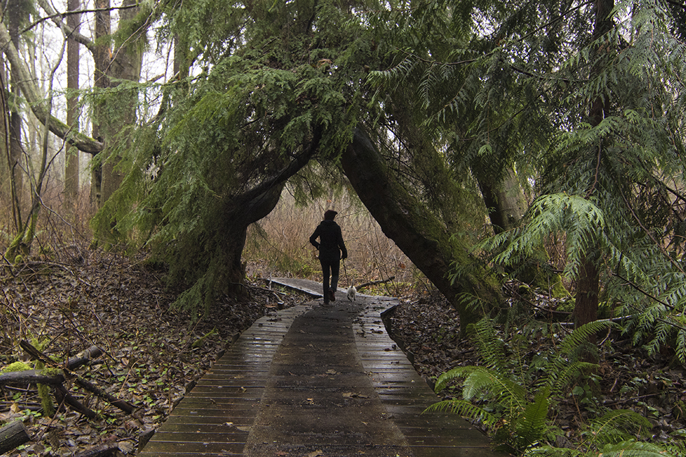 A Guide To Date Night In Seattle