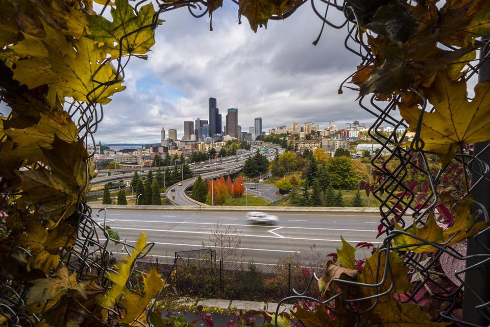 Fall Colors In Seattle