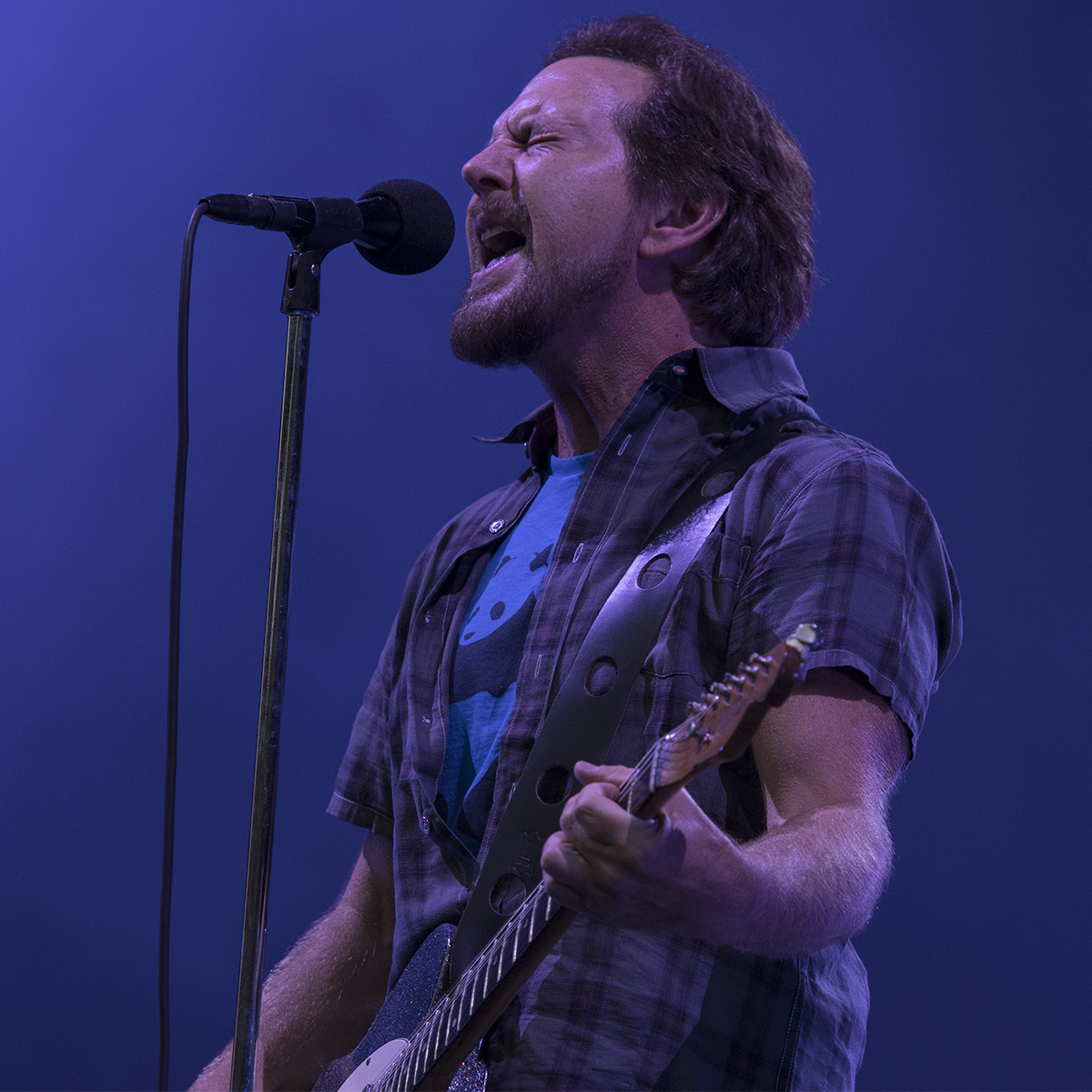 The Pearl Jam Home Shows