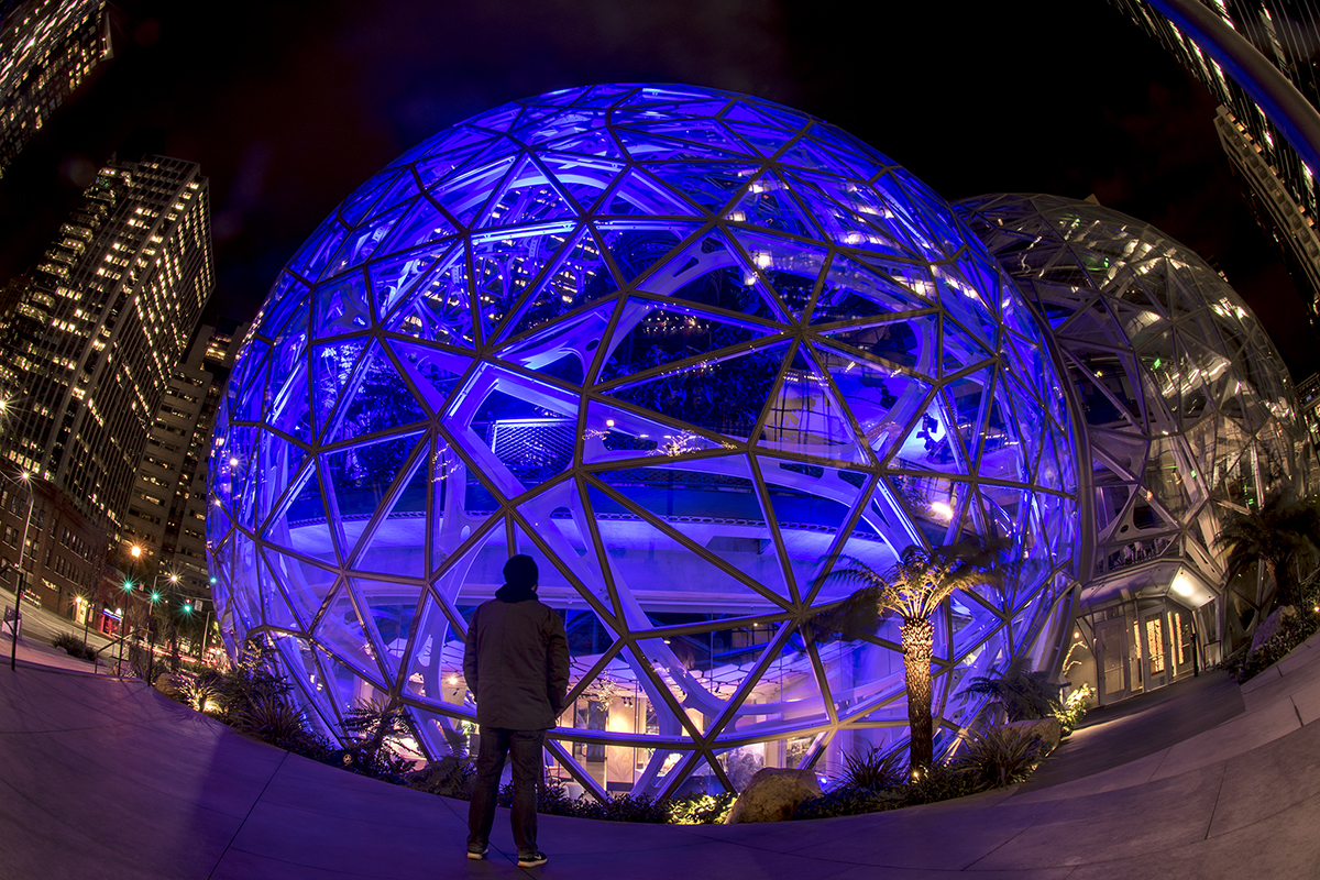 Blue Cityscape: Seattle Remembers Paul Allen