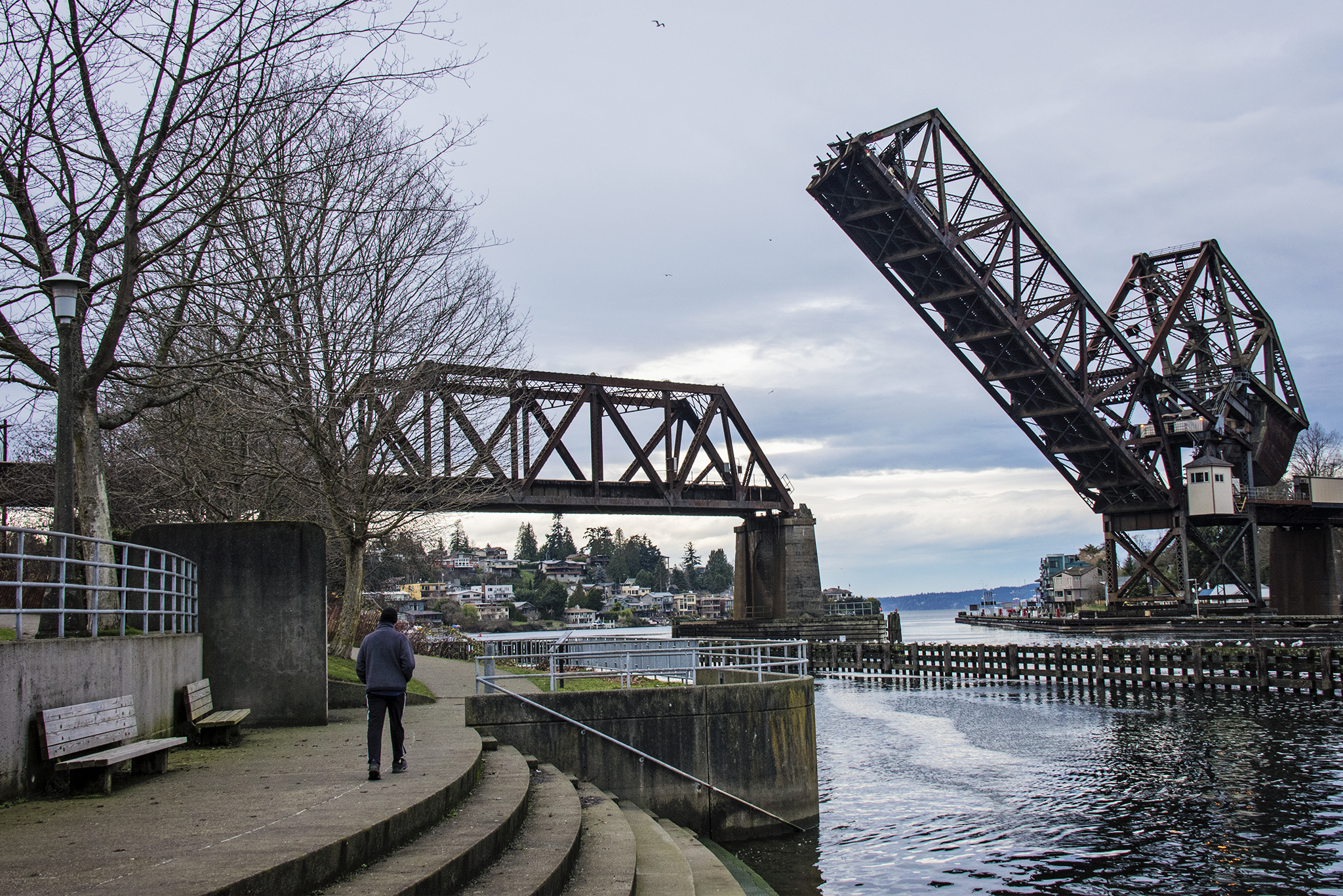 Great Walks To Take Around Seattle