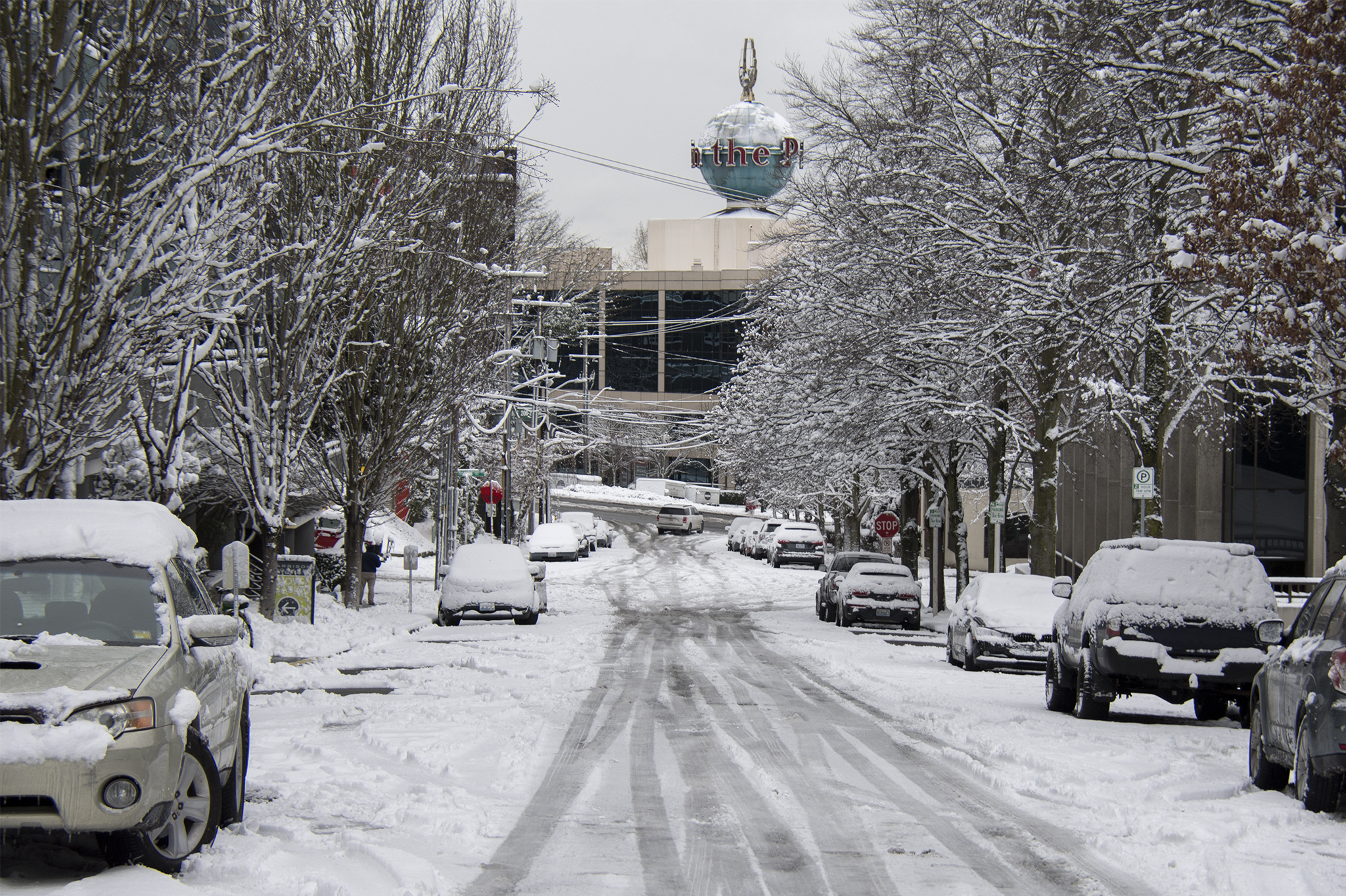 PHOTOS: Seattle Snowpocalypse