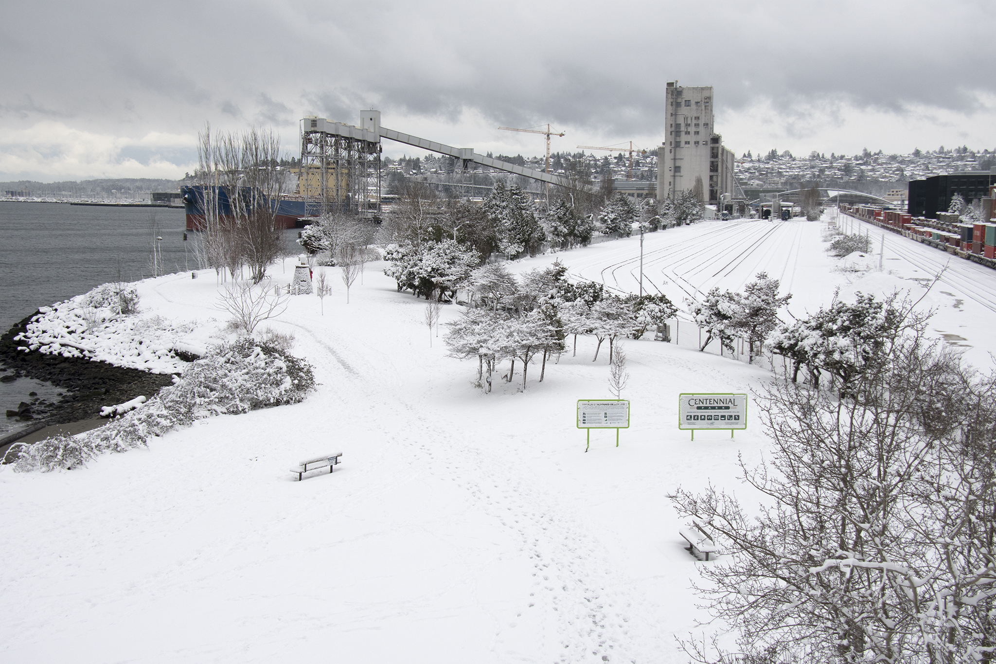 PHOTOS: Seattle Snowpocalypse