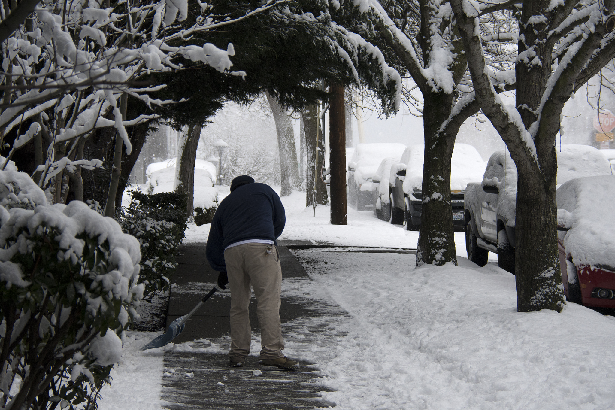 PHOTOS: Seattle Snowpocalypse