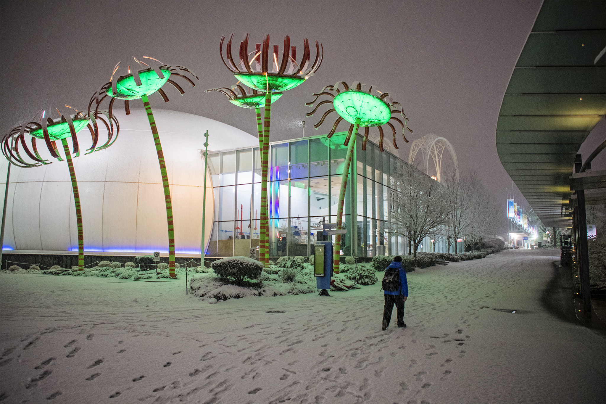 PHOTOS: Seattle Snowpocalypse