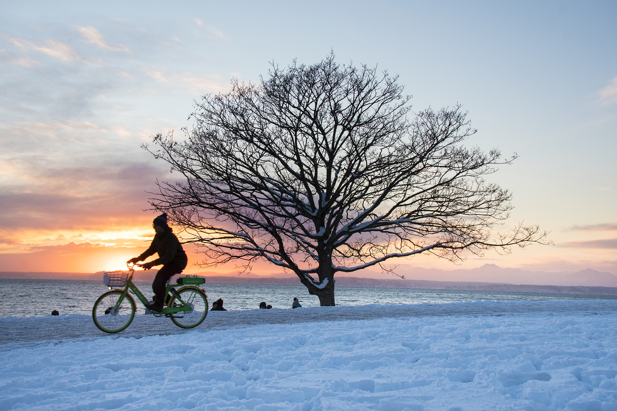 PHOTOS: Seattle Snowpocalypse