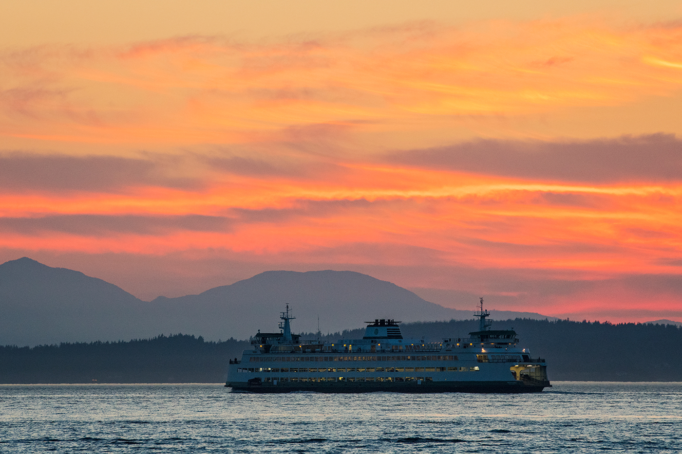 Your Daily Dose of Seattle Beauty