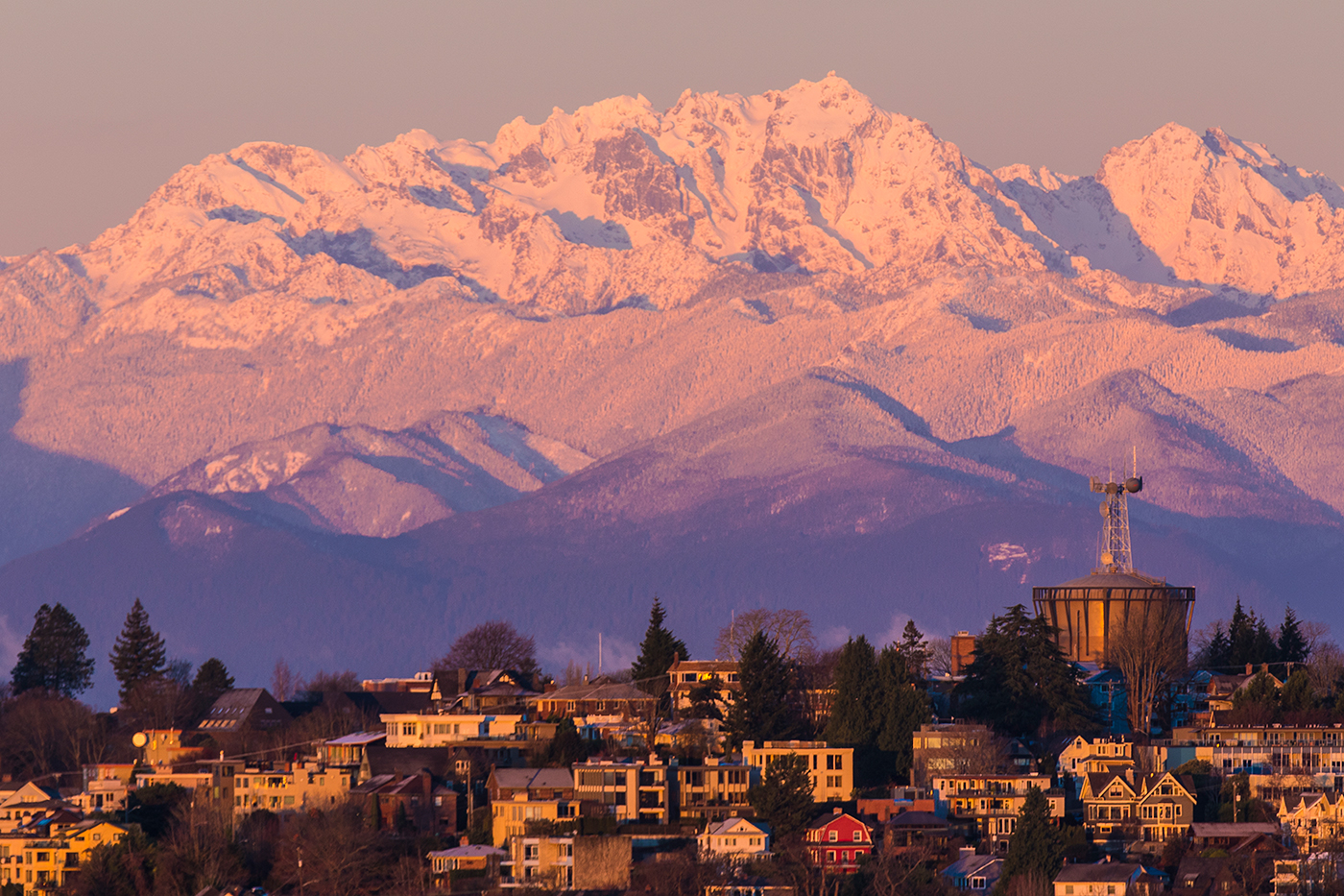 Your Daily Dose of Seattle Beauty