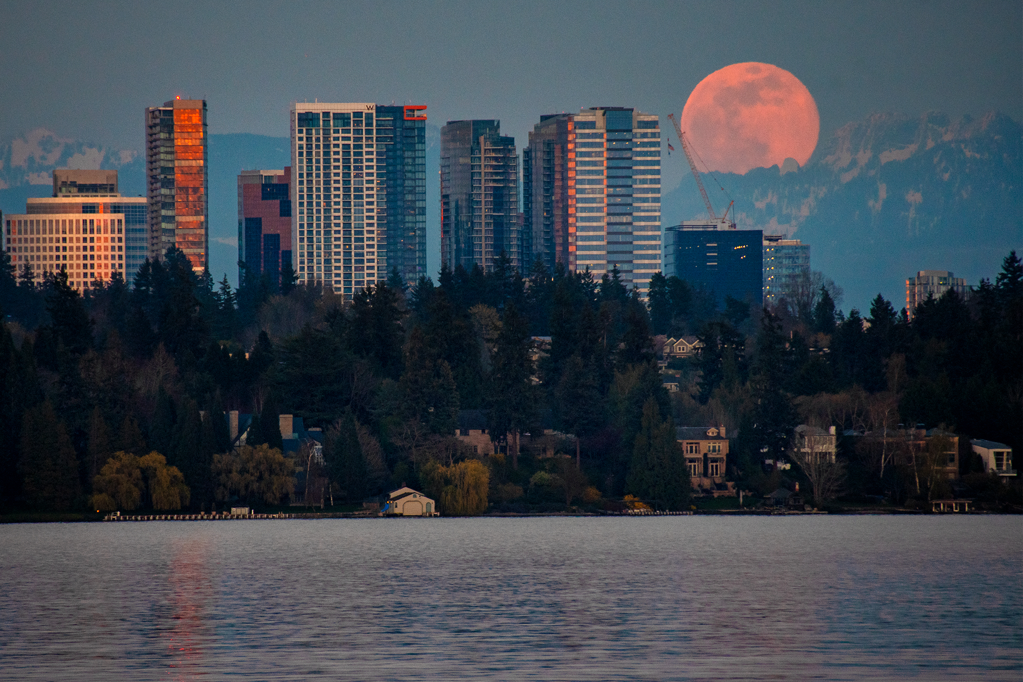 Your Daily Dose of Seattle Beauty