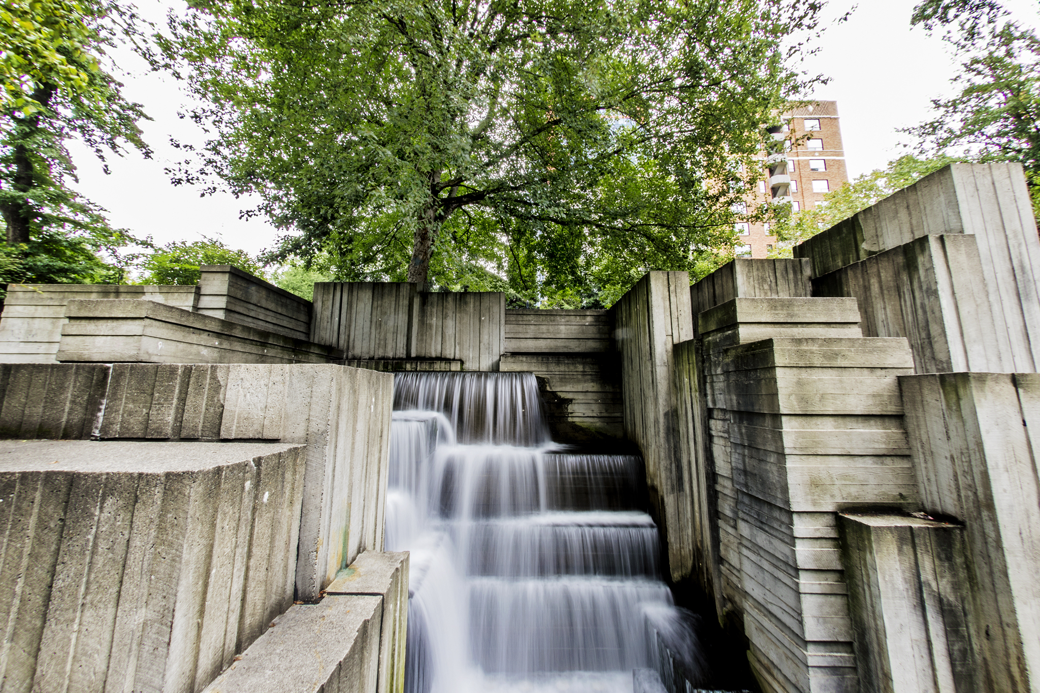 Best Zoom Backgrounds For Your Seattle Meetings...