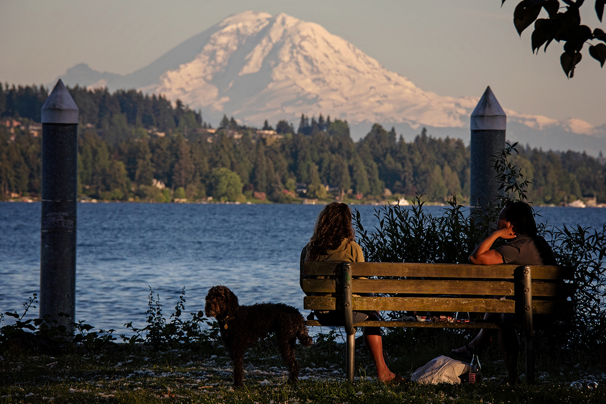 Great Walks To Take Around Seattle