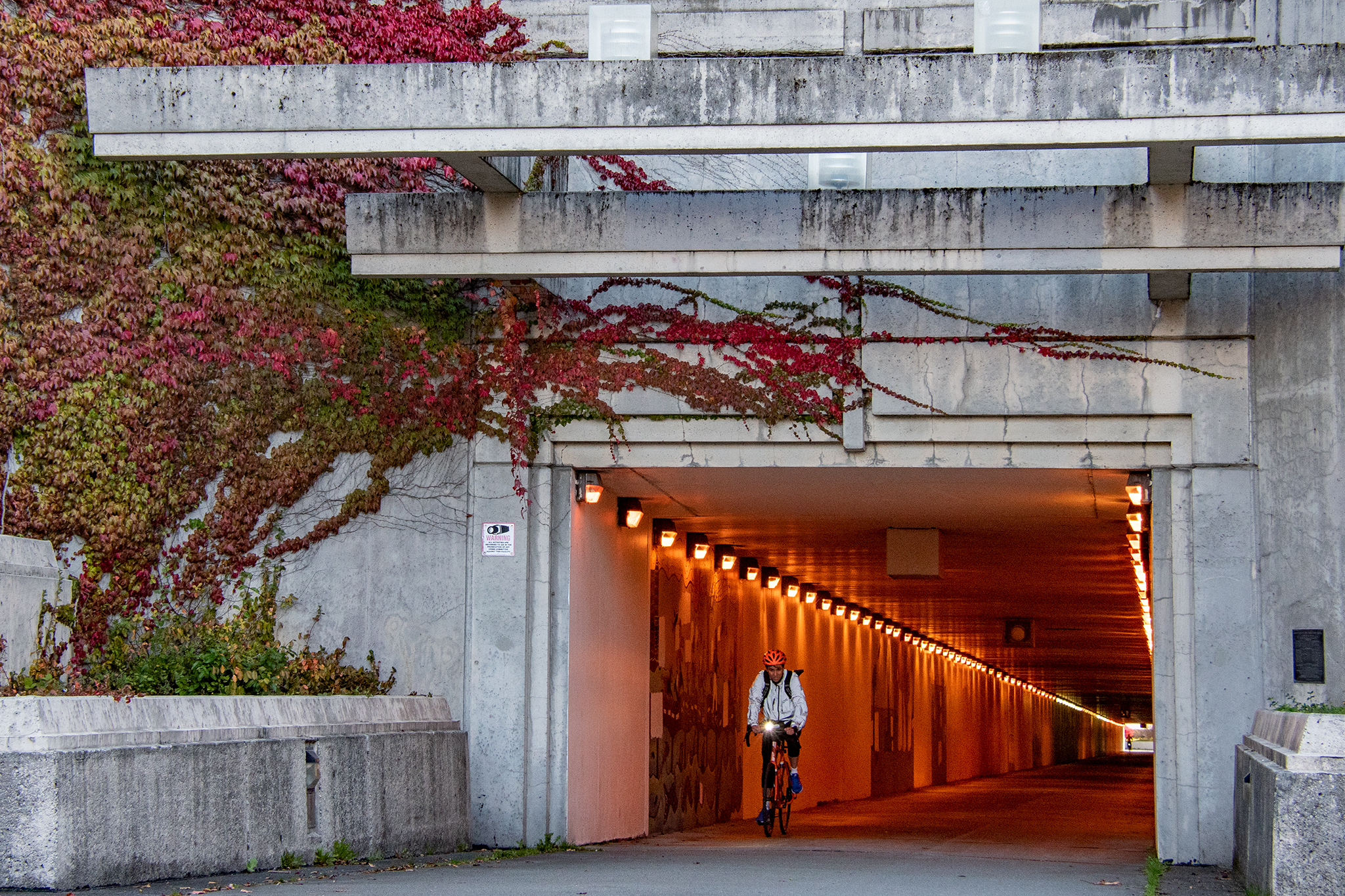 Best Bike Rides In Seattle
