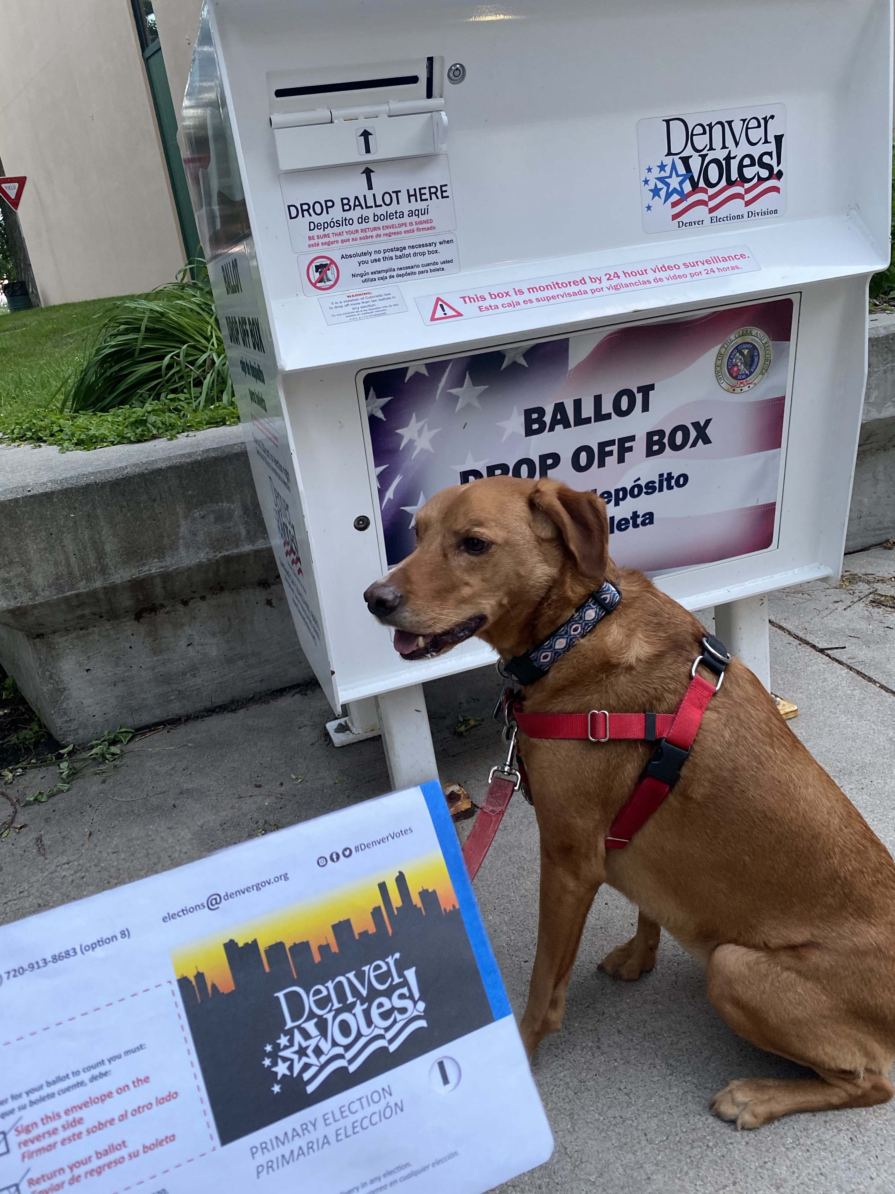 How To Vote In Colorado