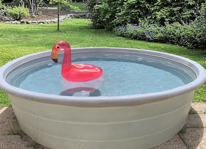 WIN an 8’ Cowgirl Pool Package by Cowboy Pools in Austin at Cowboy
