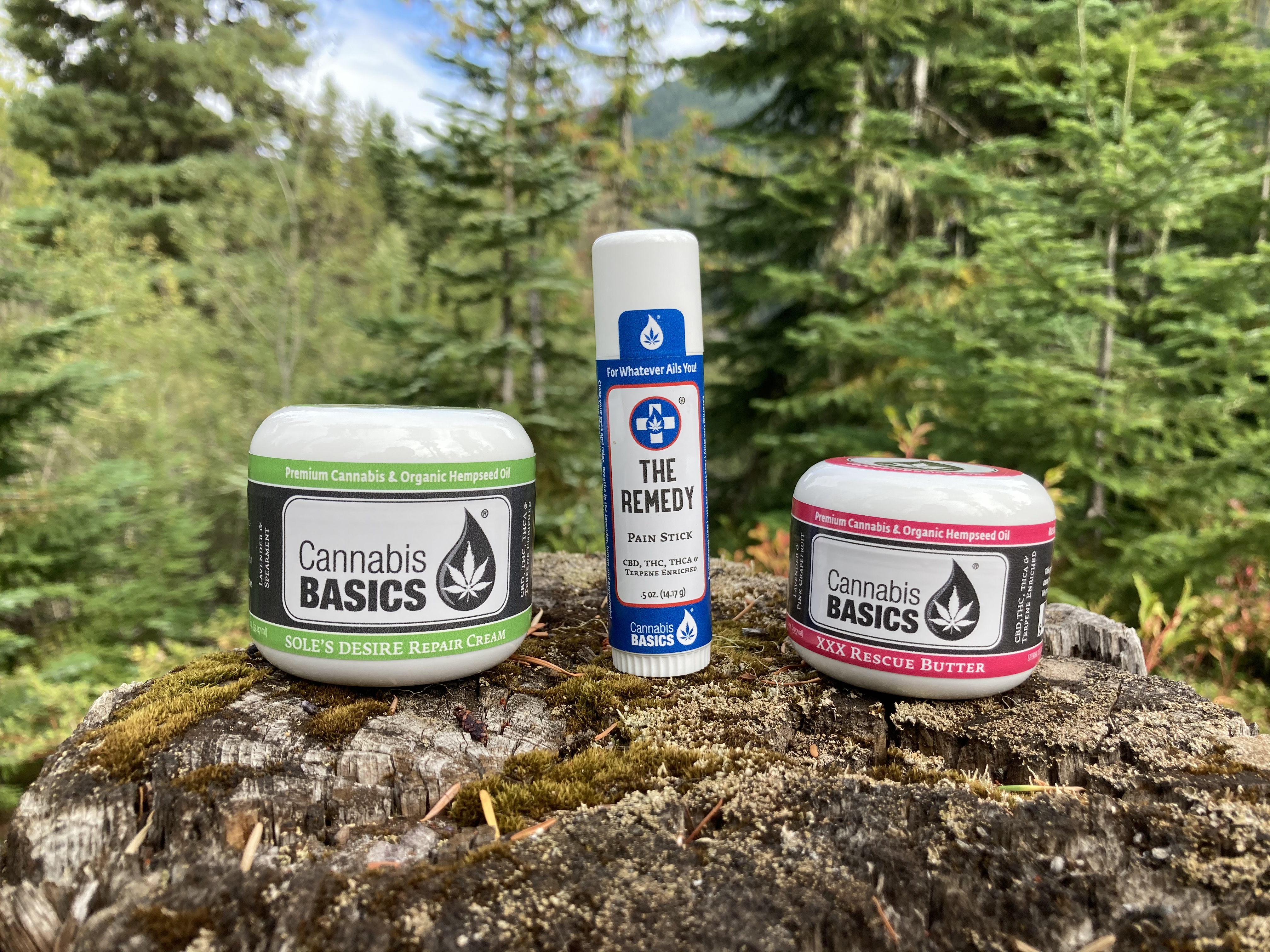 Seattle’s Guide To Cannabis