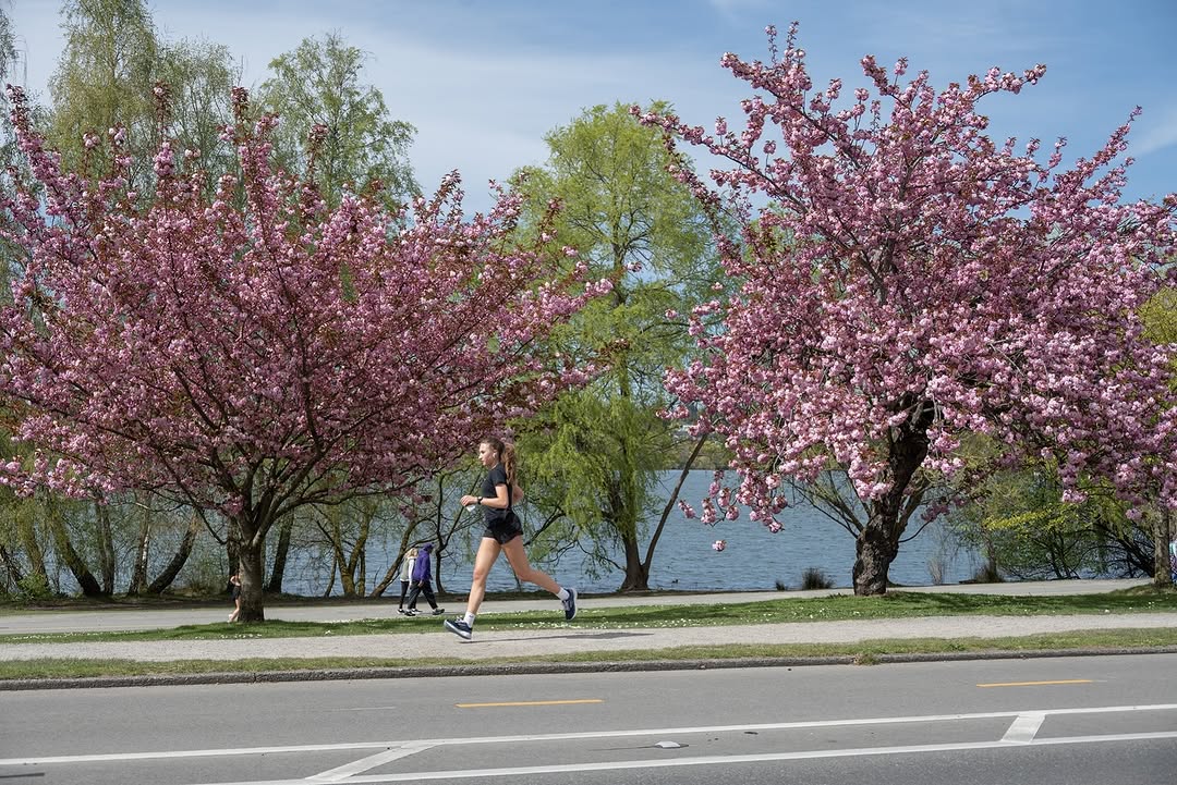 Where To See Spring Colors In Seattle