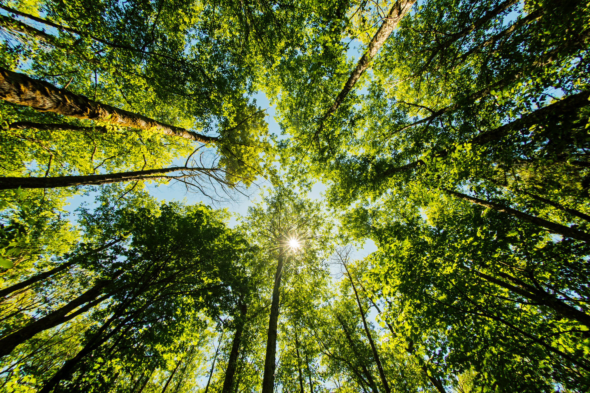 Your Guide To Tacoma